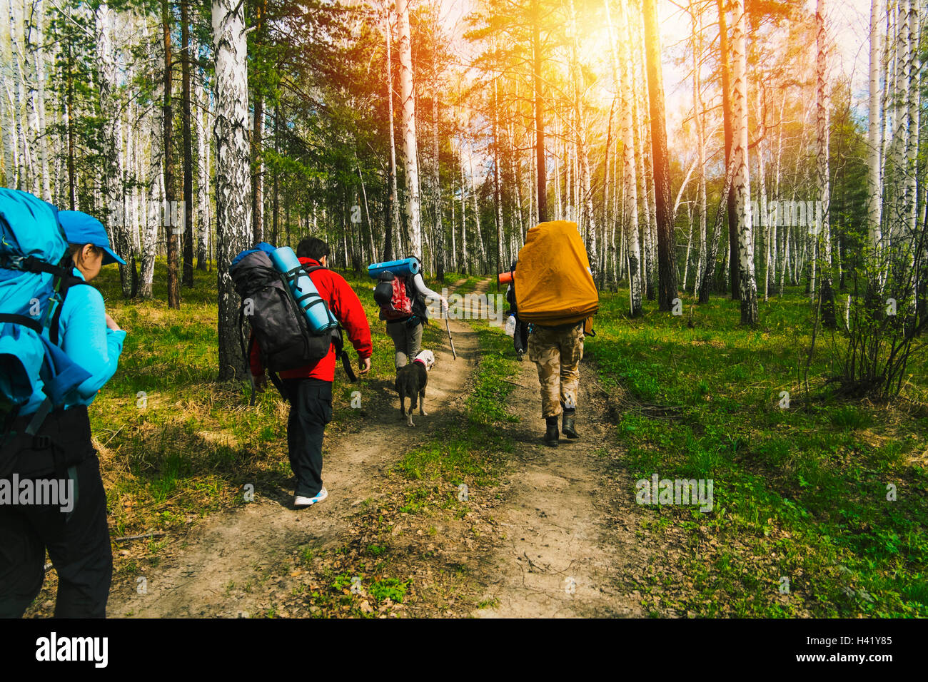 Caucasian friends backpacking with dog on forest path Stock Photo - Alamy