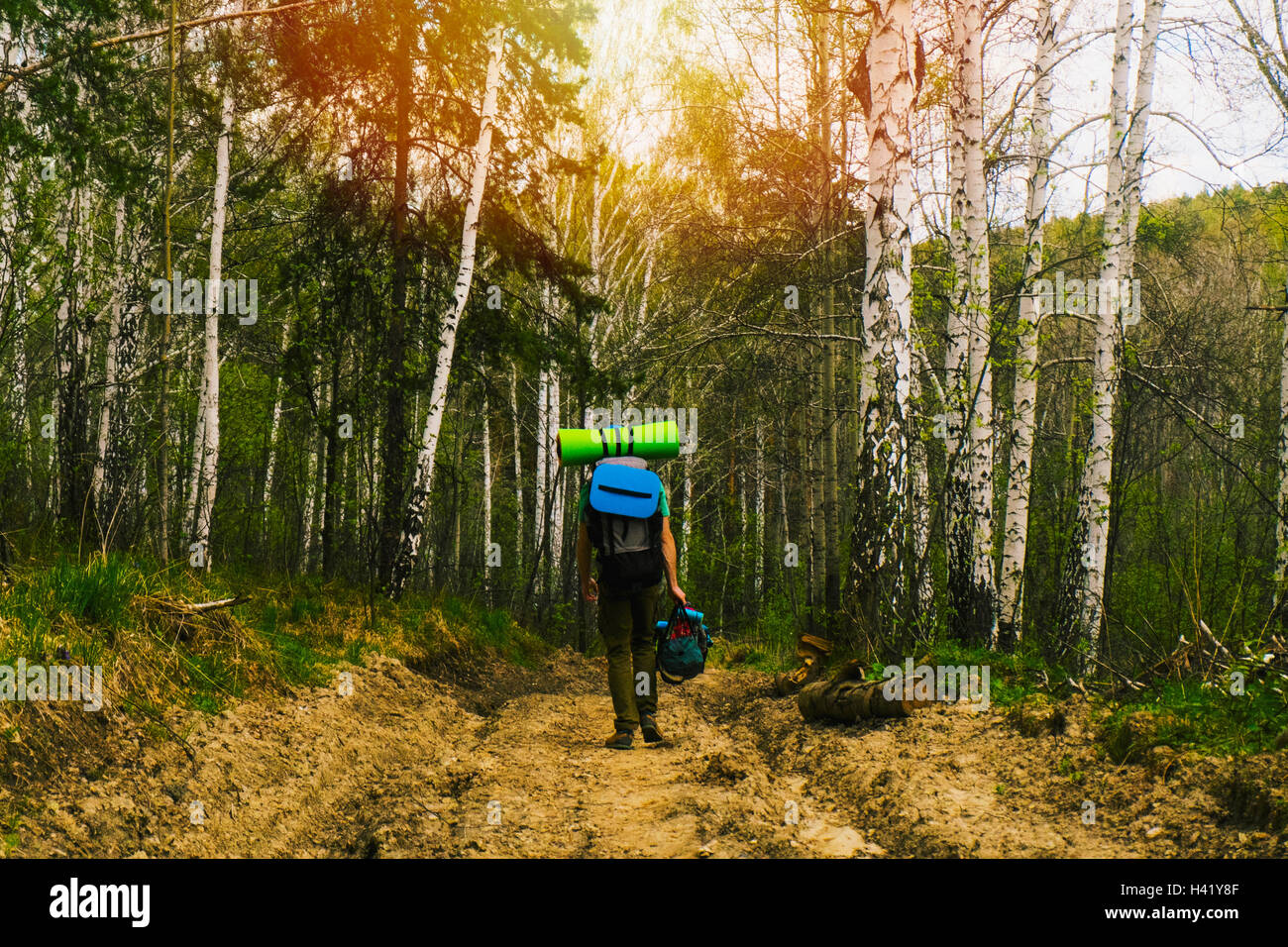 Caucasian man backpacking in forest Stock Photo - Alamy