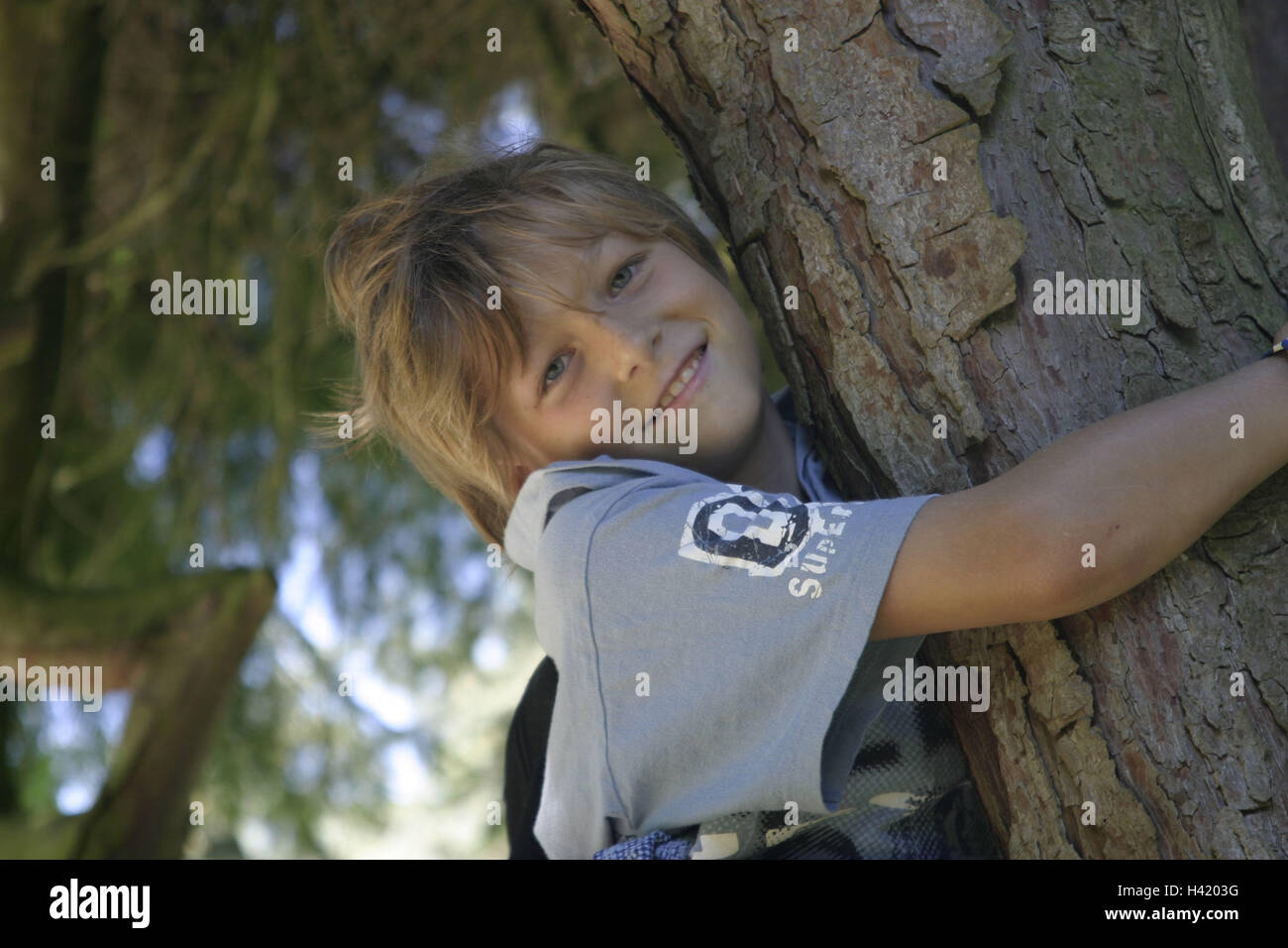 Boy, tree, embrace, happy, joy, happy, fun, cheerfully, cheerfulness ...