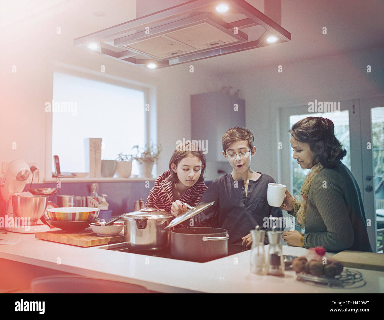 Indian woman cooking kitchen home hi-res stock photography and images ...