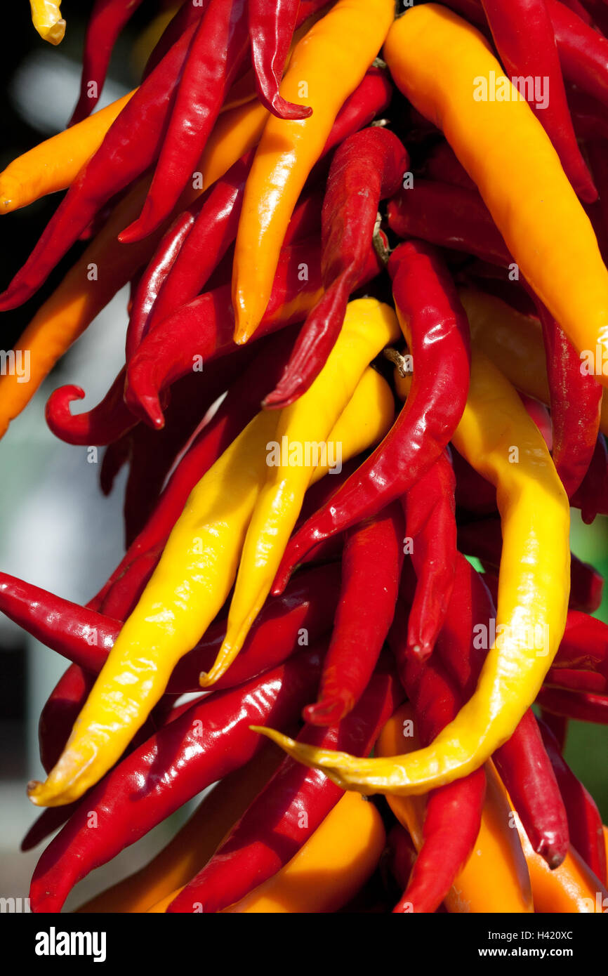 Peppers hanging pepper hi-res stock photography and images - Alamy