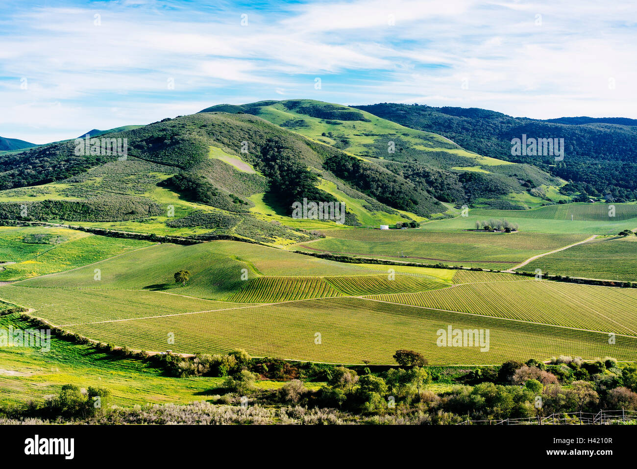 Scenic view of green rolling landscape Stock Photo - Alamy