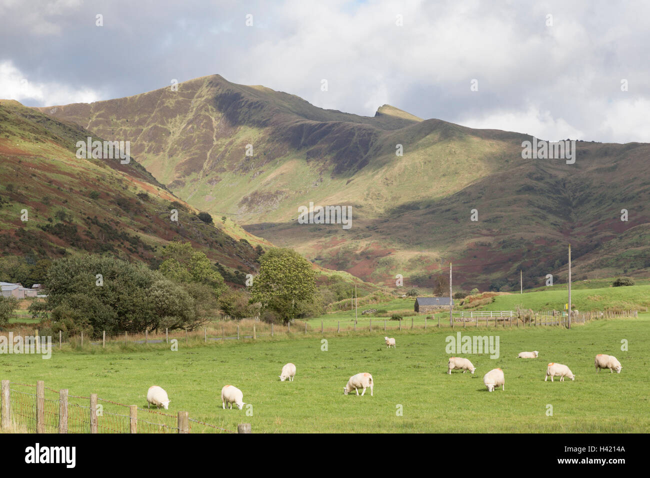 The head of Cwm Pennant valley and in the distance the Nantlle Ridge ...
