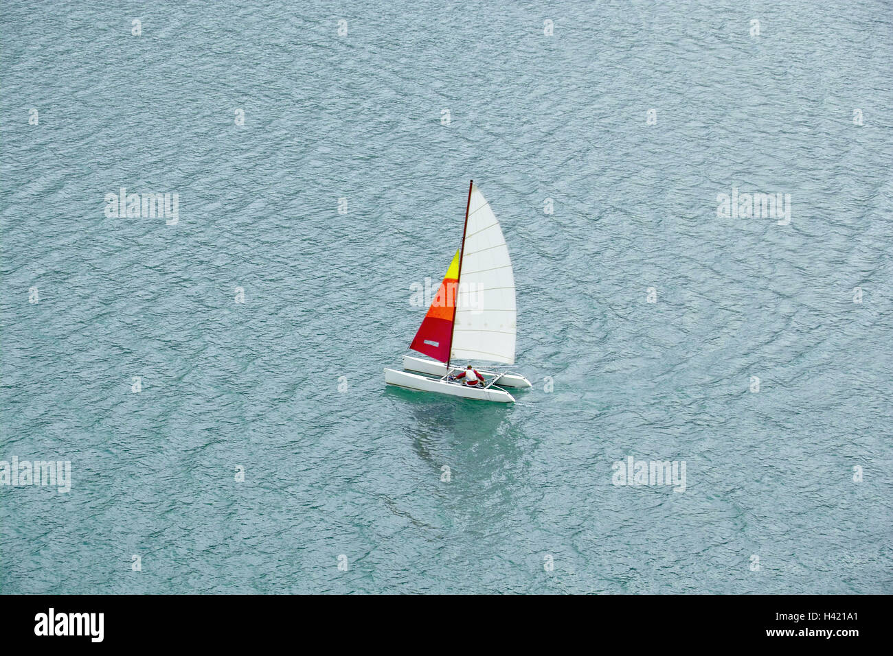 Lake, catamaran, water, water surface, blue, doubles body boat, vessel ...