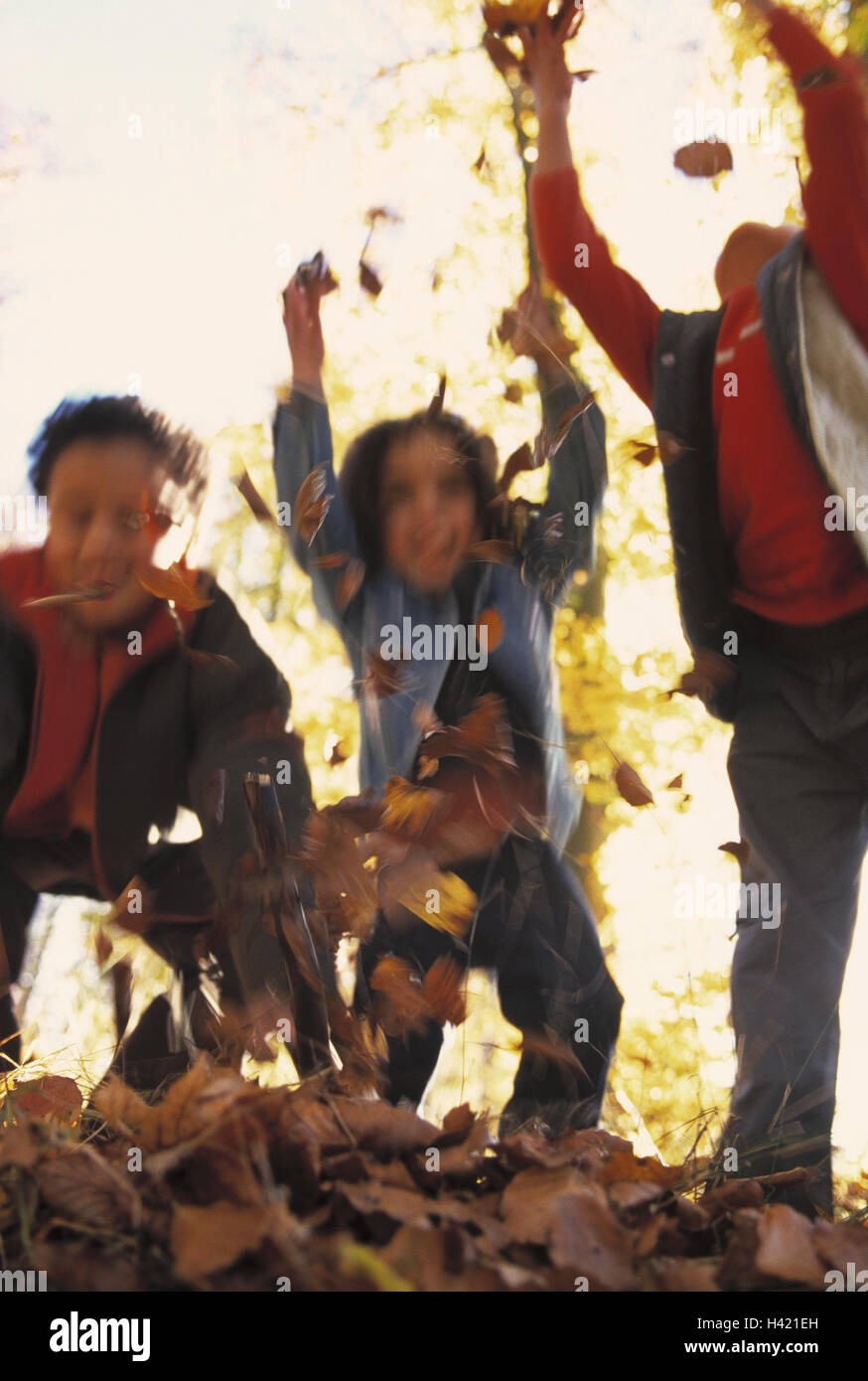Wood, children, foliage, throw, blur autumn, deciduous forest, broad ...