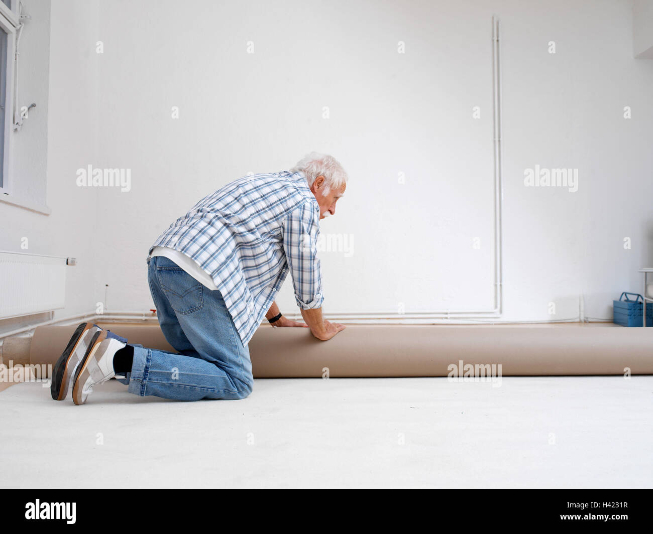 Flat, renovation works, senior, carpet, lay, 60-70 years, man, senior ...