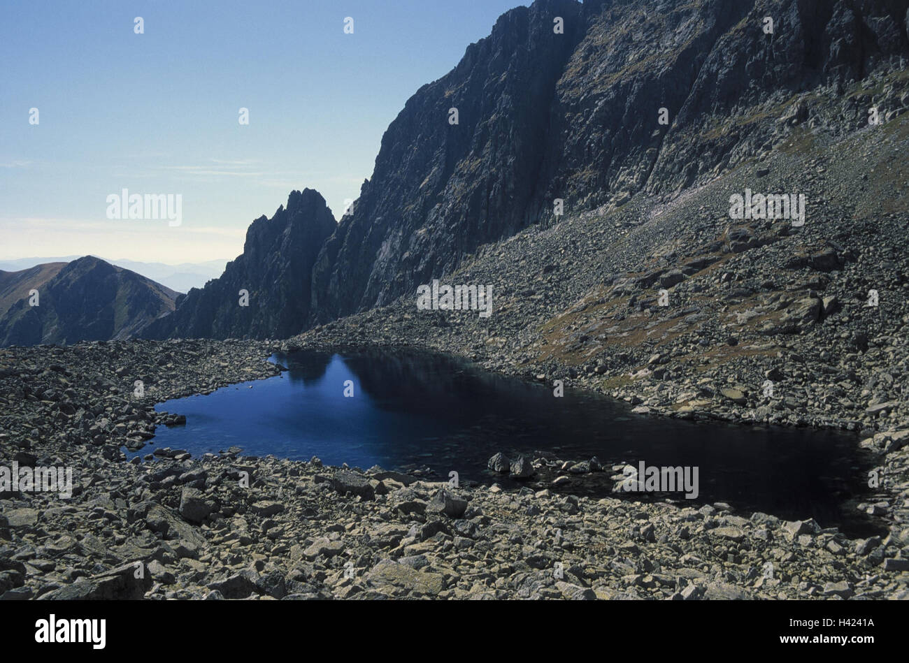 High tarta hi-res stock photography and images - Alamy