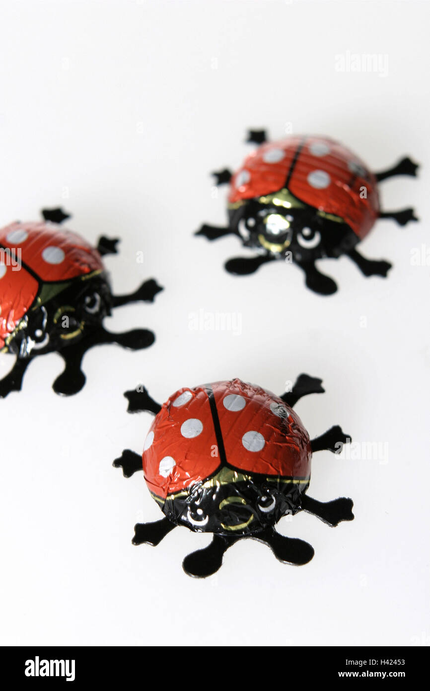 Chocolate luck beetle, three chocolate ladybirds, chocolate beetles ...