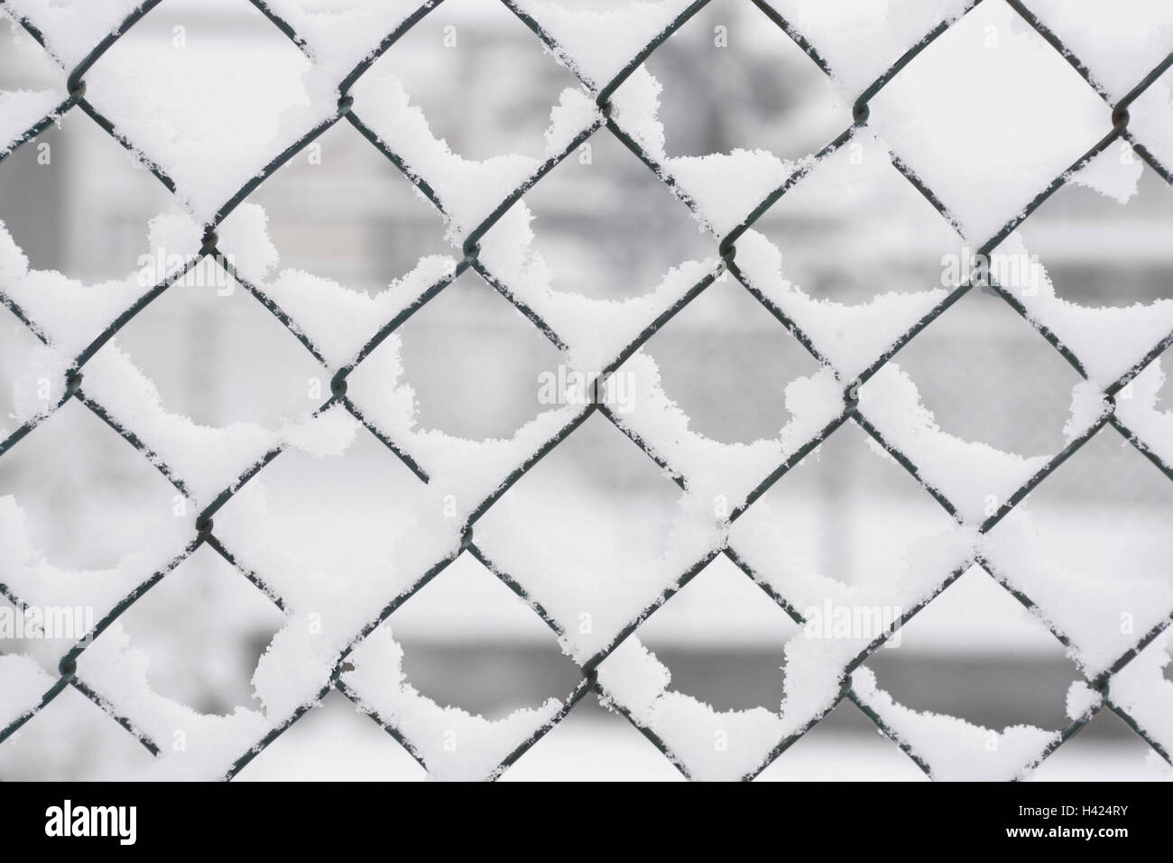Mesh wire fence, detail, snow-covered, fence, wire netting, wire, wire ...