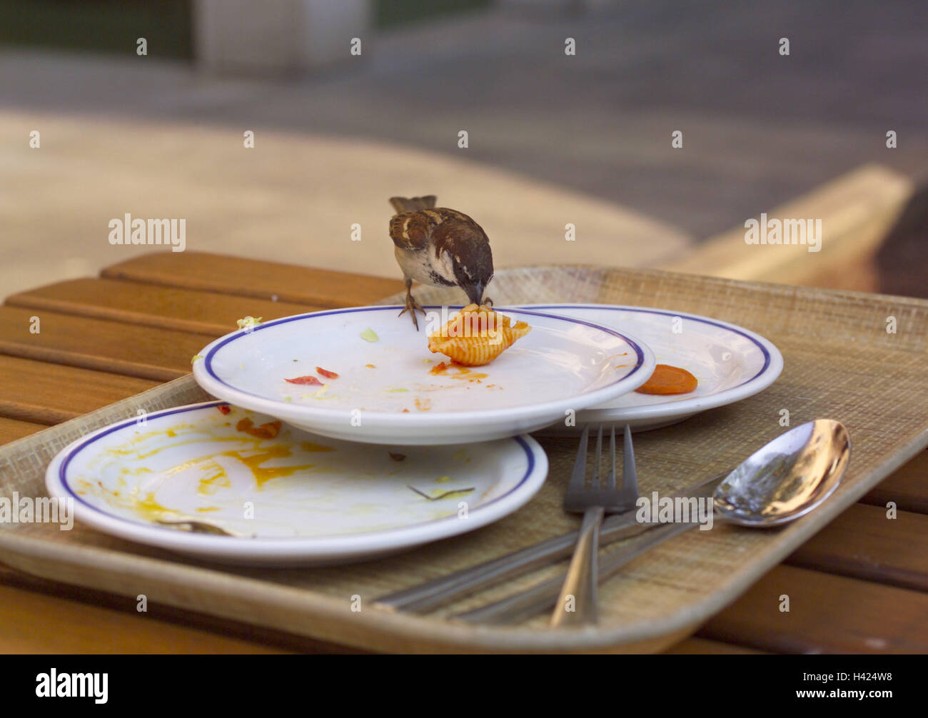 The house sparrow terrace hi-res stock photography and images - Alamy