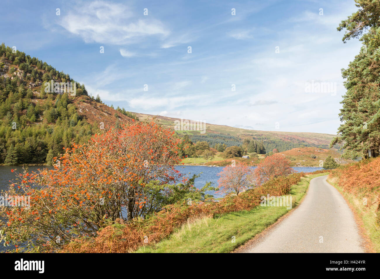 Autumn in Betws-y-Coed forest and Llyn Geirionydd, North Wales, UK ...