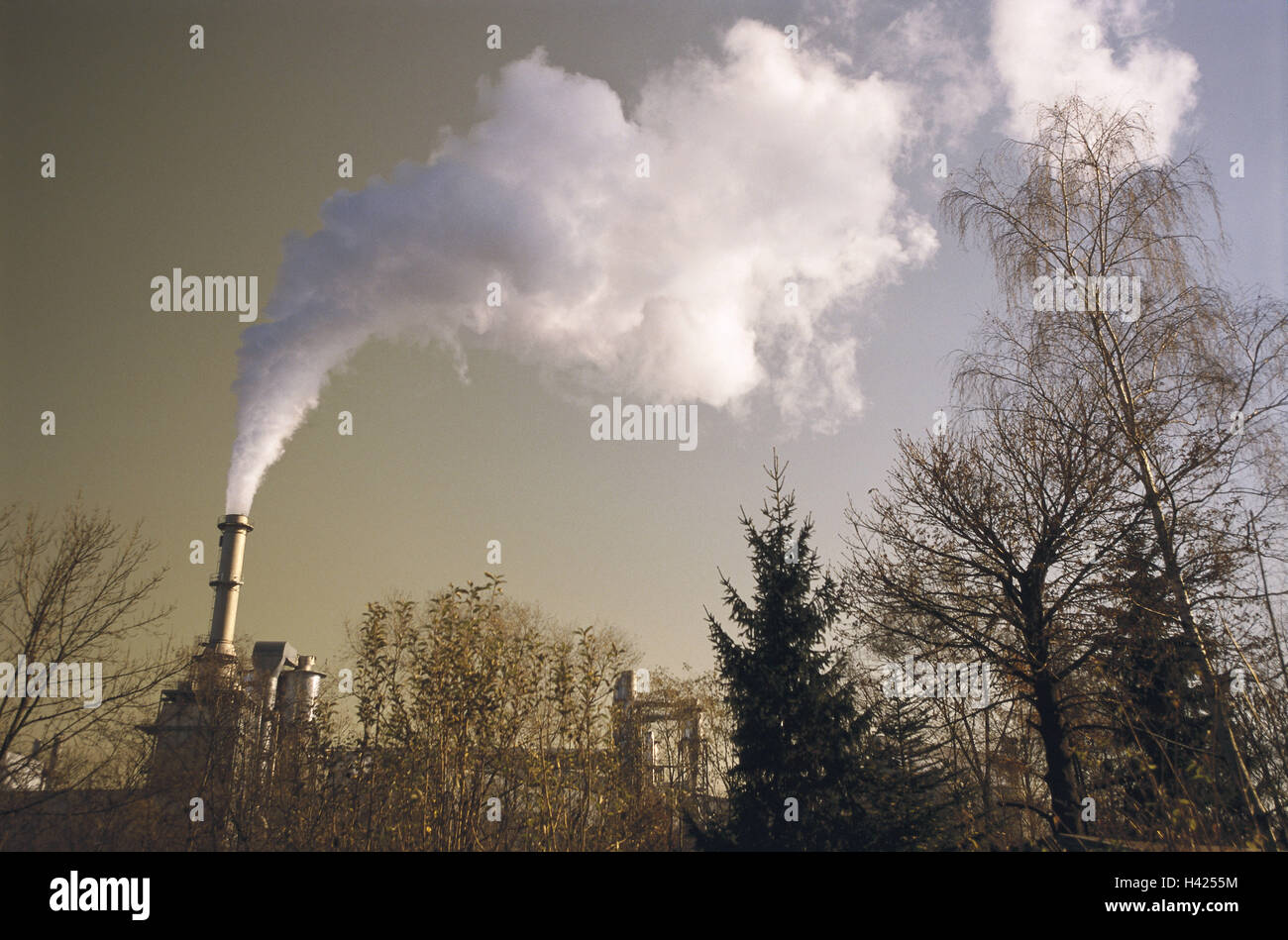 Wood, view, manufacturing plant, detail, chimney, smoke, b/w, factory ...