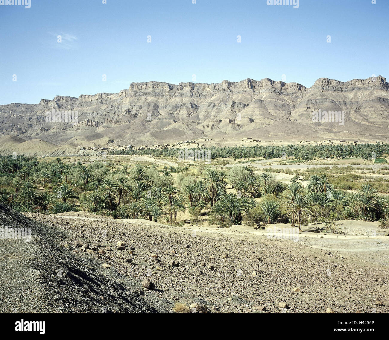 Morocco, Draa valley, Djebel Kissane, scenery, palms, northwest, Africa ...