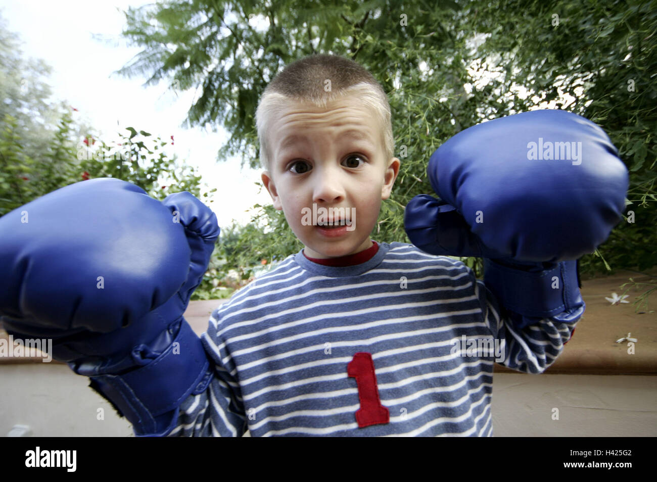 boy, 3 years, boxing gloves, blue, portrait outside, symbol, child ...