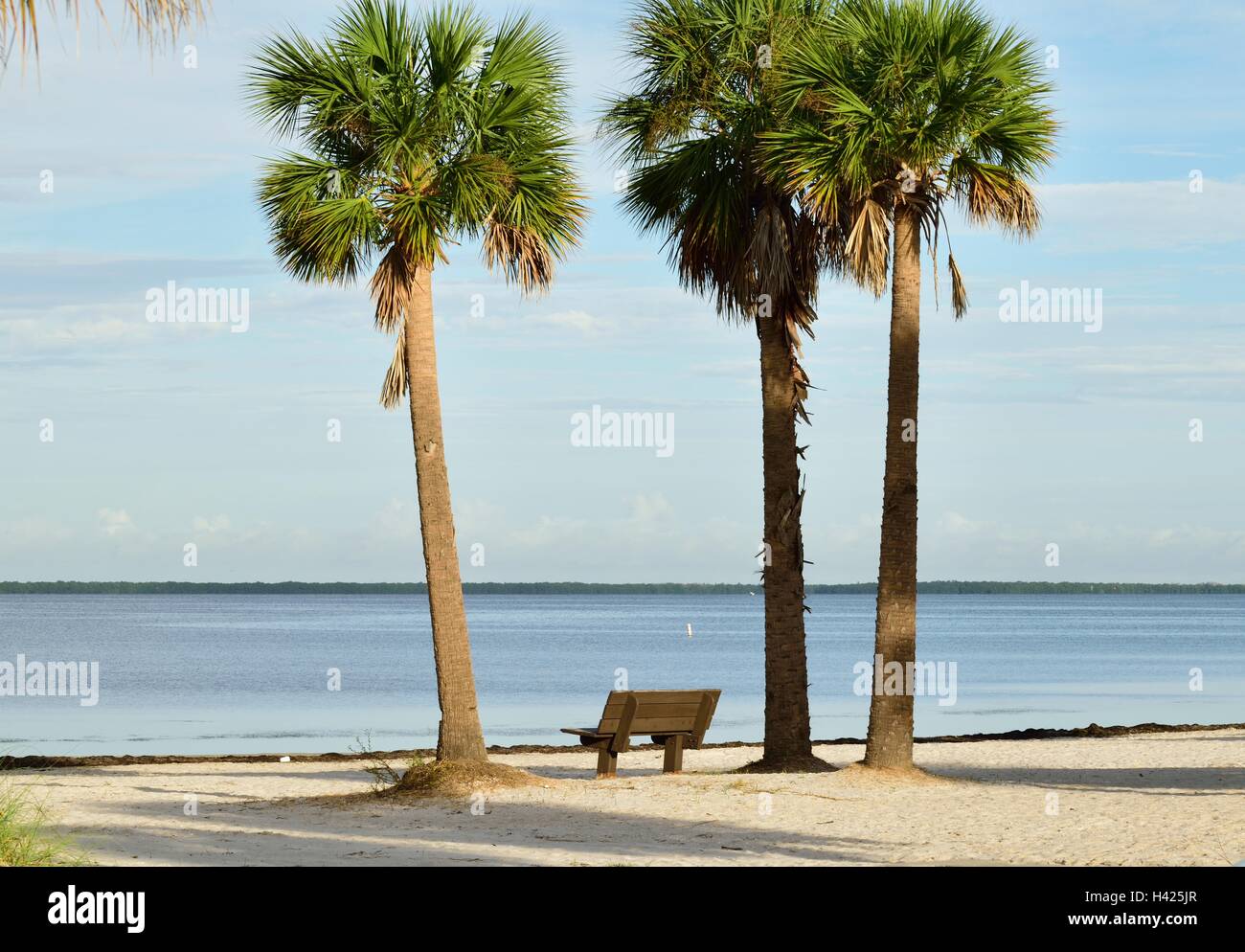 Shady place to relax on the beach Stock Photo - Alamy