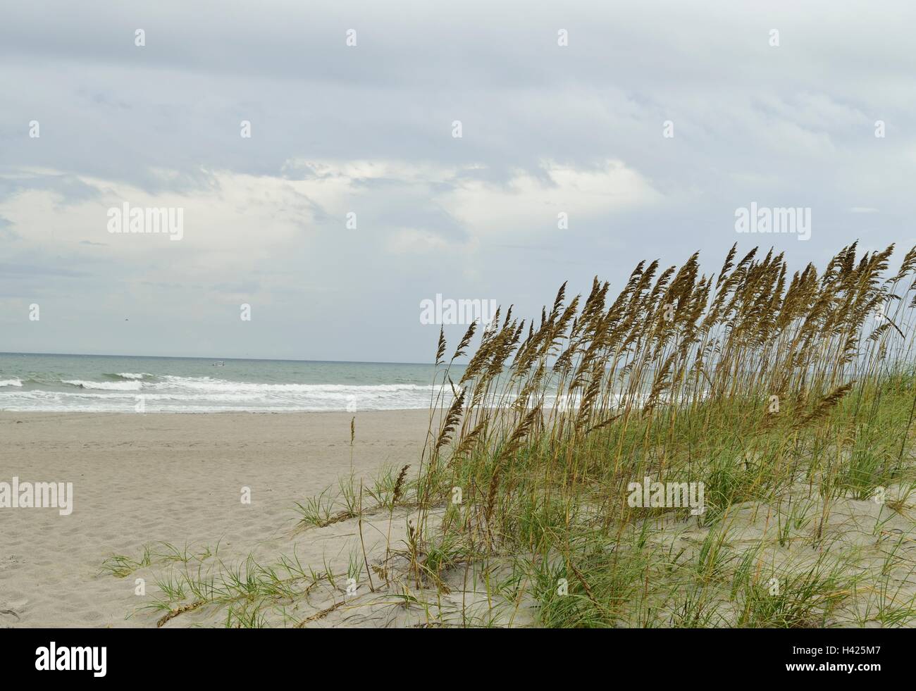 Family on dunes hi-res stock photography and images - Alamy