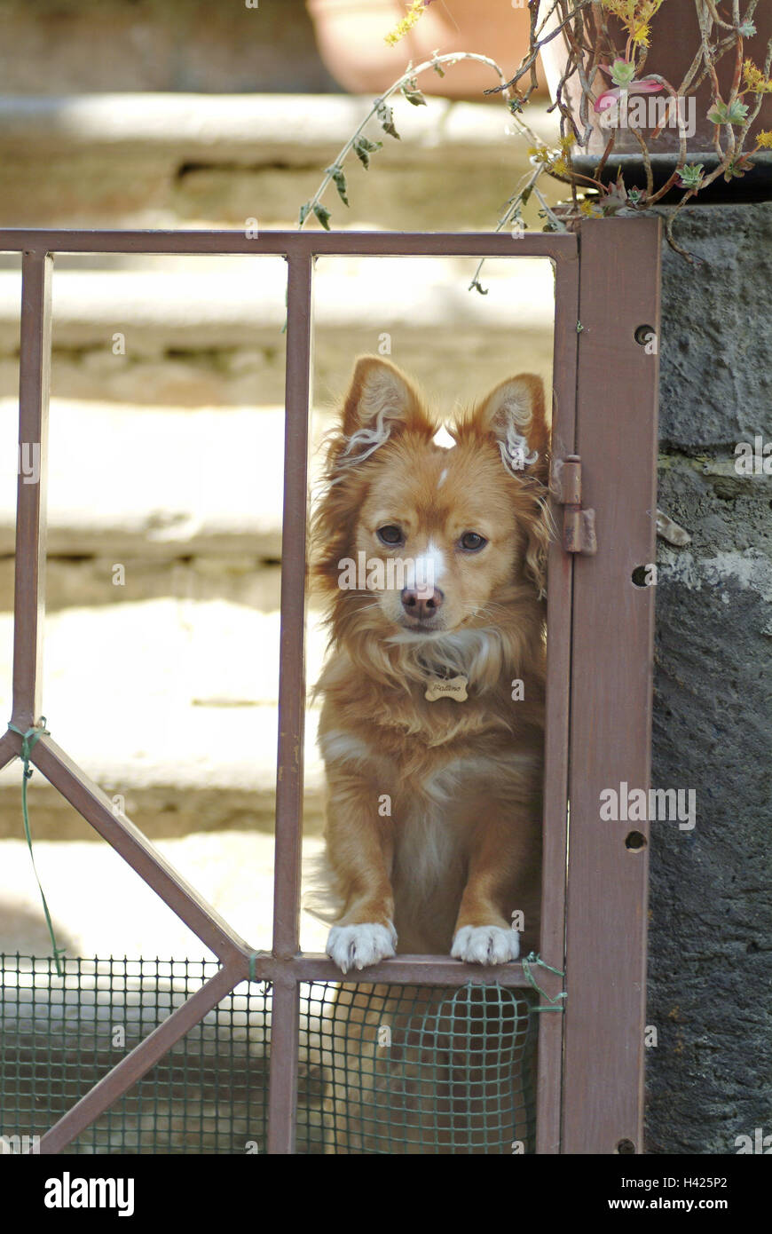 Locked gaze hi-res stock photography and images - Alamy