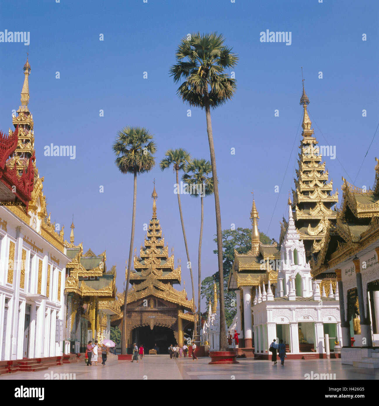 Myanmar, Yangon, Shwedagon pagoda, visitor, Asia, Indochina, Burma ...