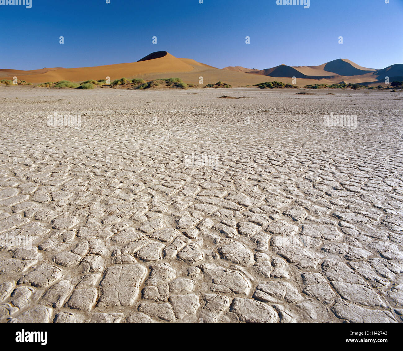 Namibia, desert Namib, Sossusvlei, wild floor, parched, South-West ...