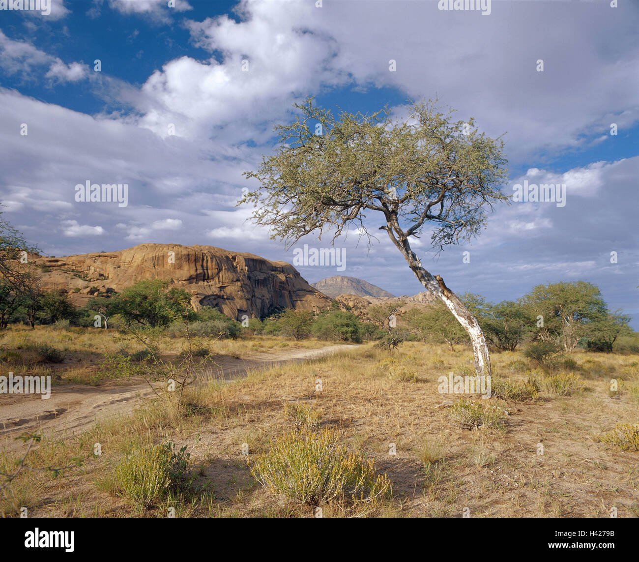 Namibia, Erongo mountains, farm Ameib, scenery, vegetation, Sandstrasse ...