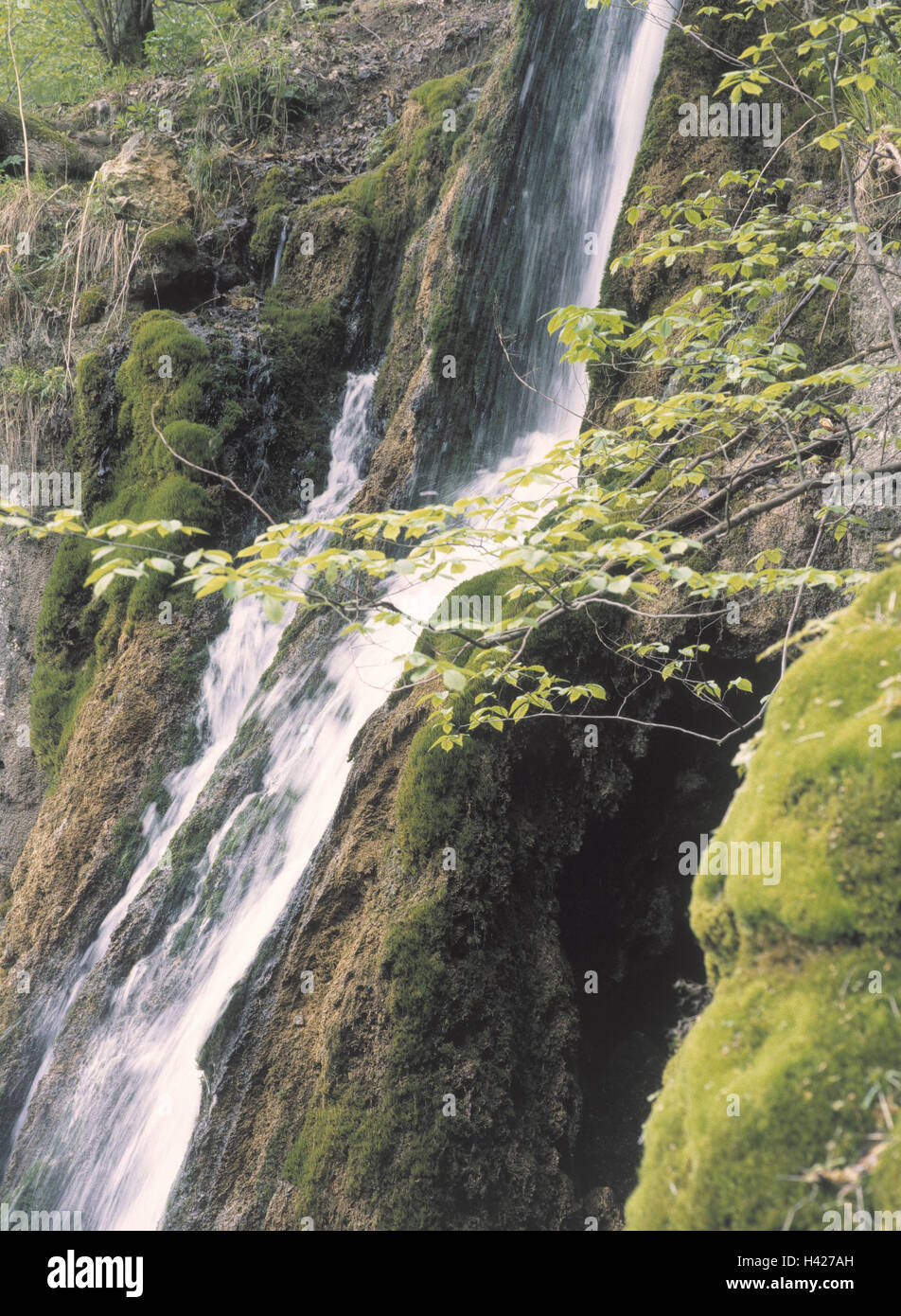 Germany, Swabian nightmare, bath Urach, wood, Gütersteiner waterfall ...