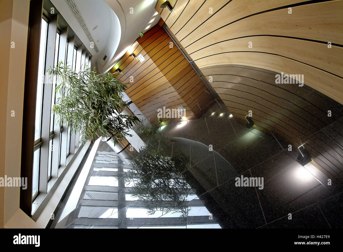 Buildings, interior reception, Architecture, modern, Windows, window ...