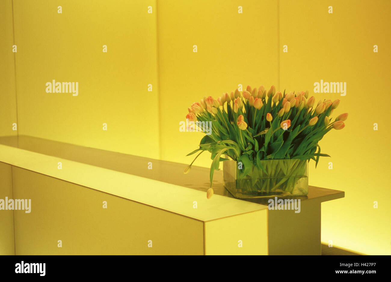 Reception, bar, vase, tulips, Reception area, reception hall, lobby ...