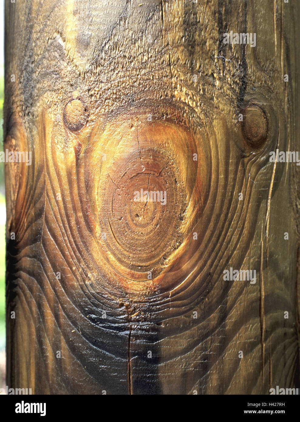 wooden posts, structure, close up, nature, wooden, pole, wooden pole ...