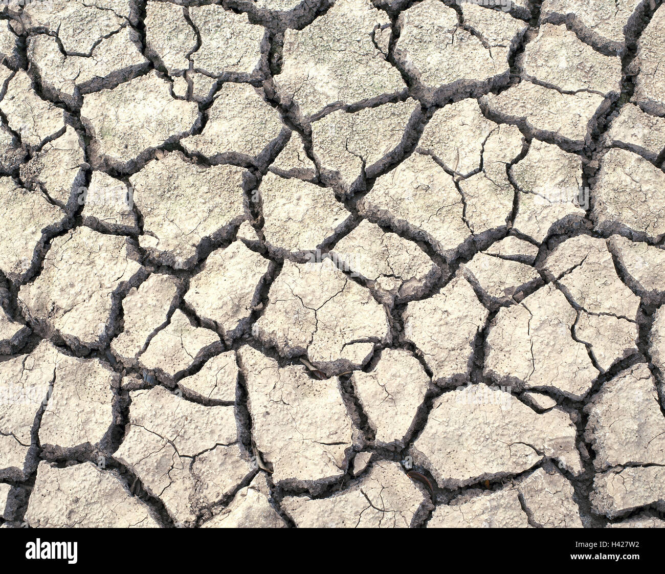 Earth, characteristical, drought, dryness, lack of water Stock Photo ...