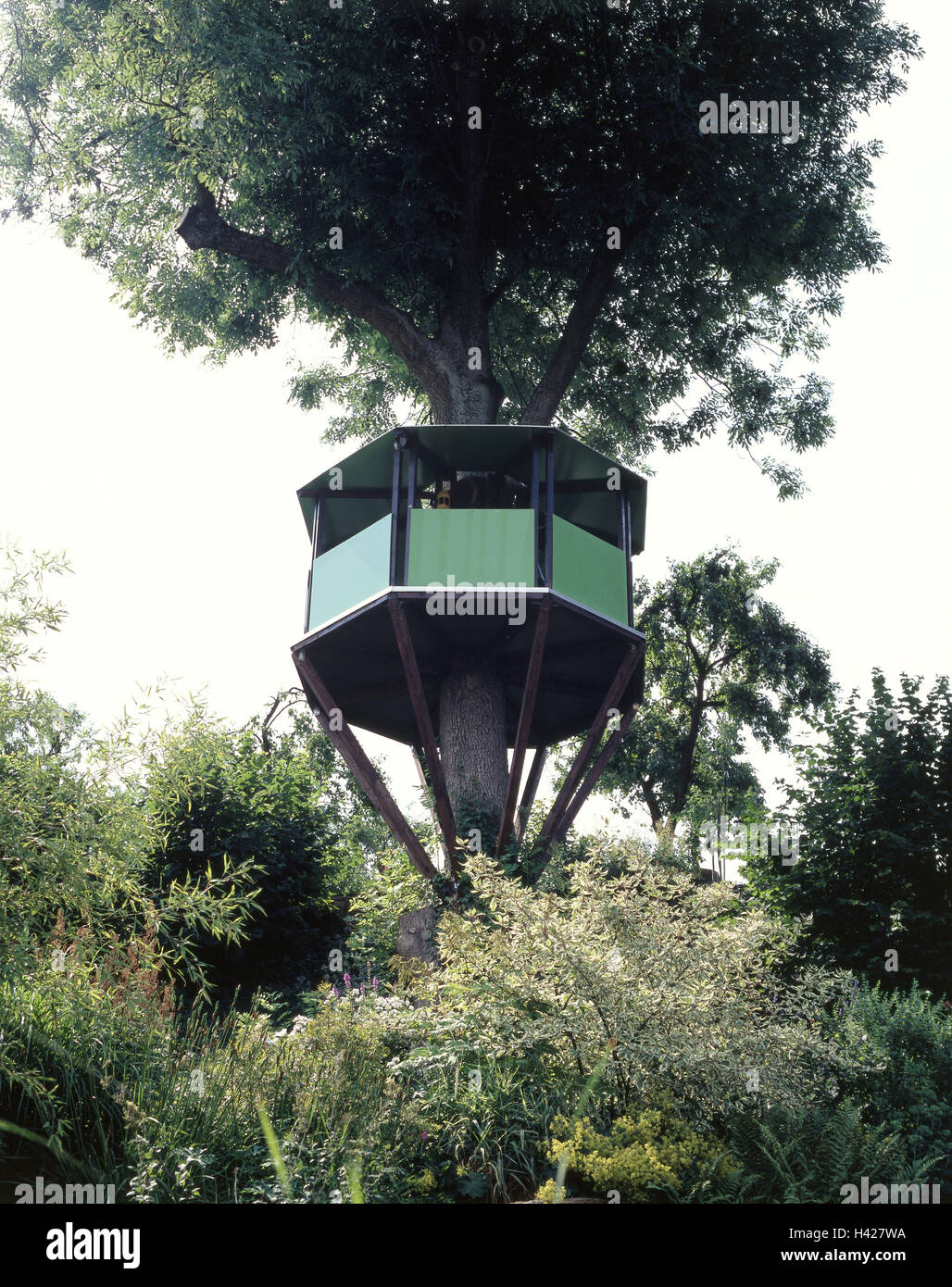 Tree-house, lookout, wood, trees, wilderness, nature, pulpit, height ...