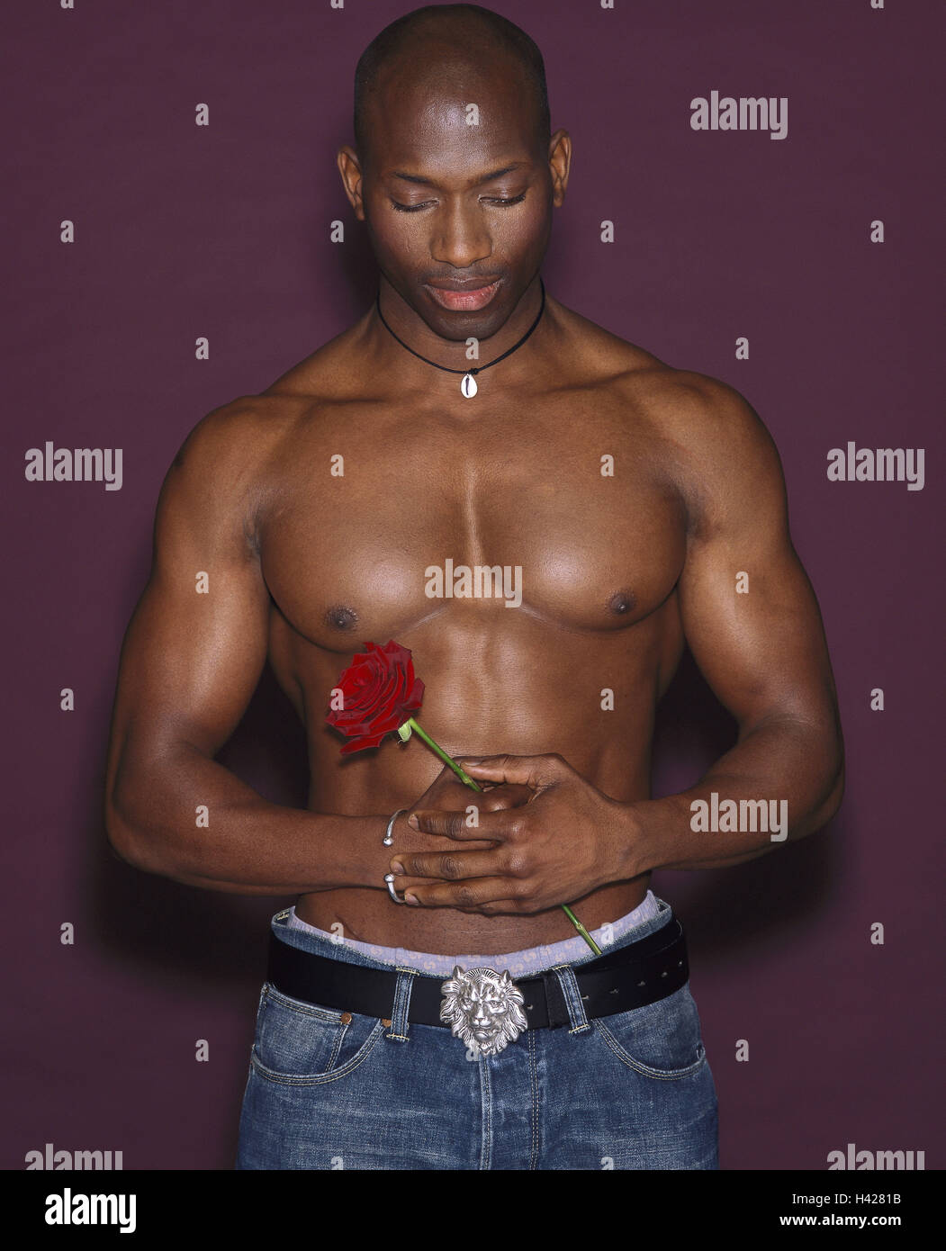 Man, people of color, upper bodies freely, muscular, Rose, Halbporträt ...
