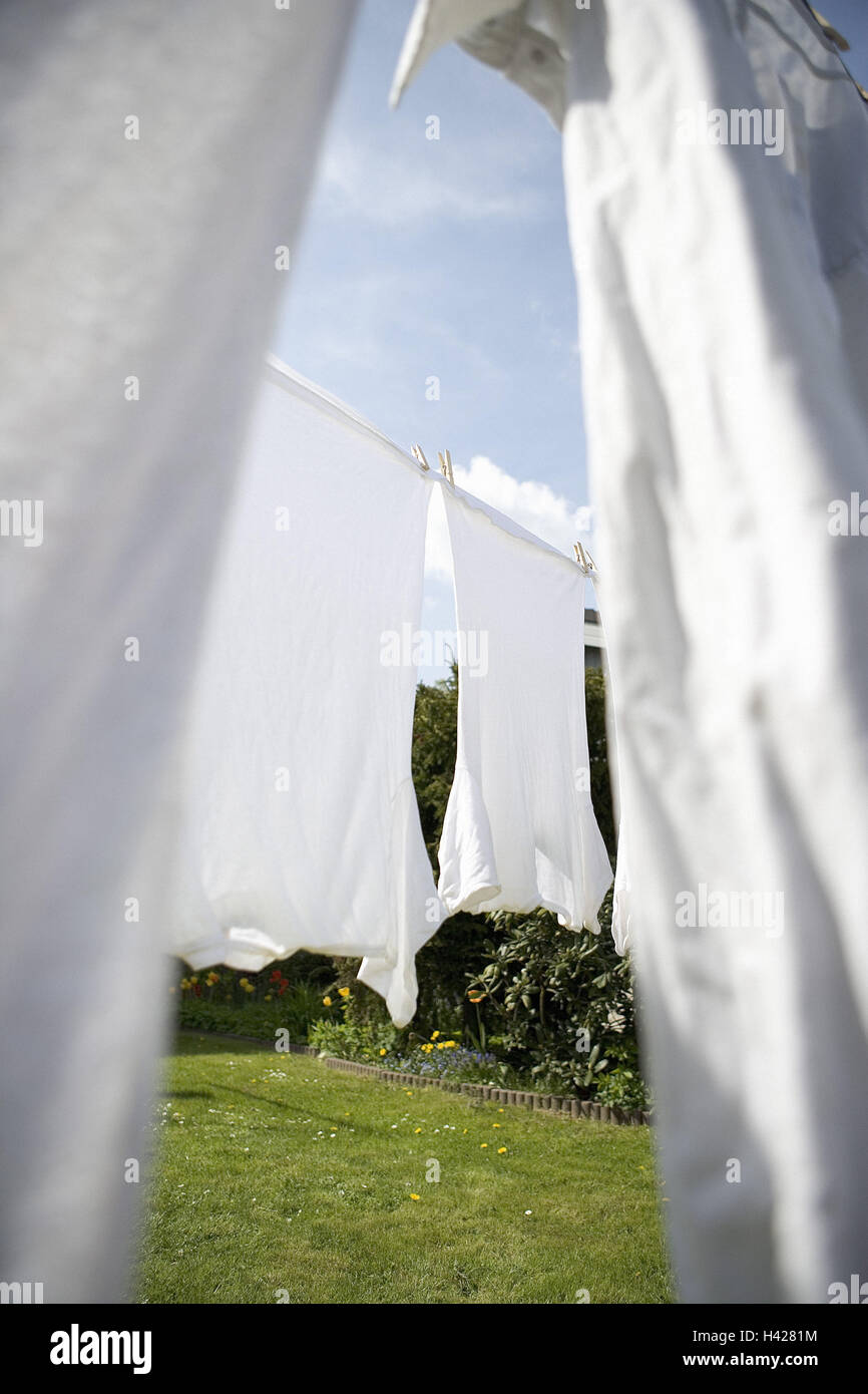 Garden, clothes line, laundry, hangs, dries, detail Rope, string ...