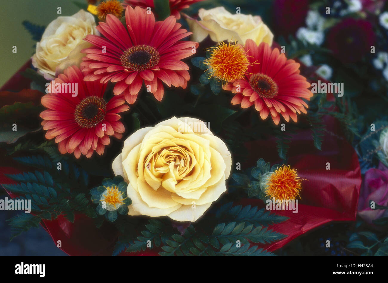 Flower bouquet, roses, gerbera, detail, Blooms, Plants, flowers, bloom ...