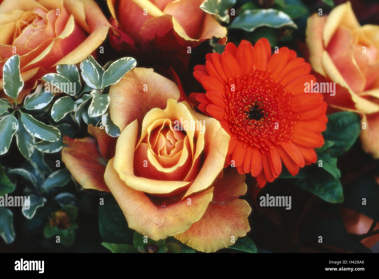 Flower bouquet, roses, gerbera, Detail, blooms, orange, Plants, flowers ...