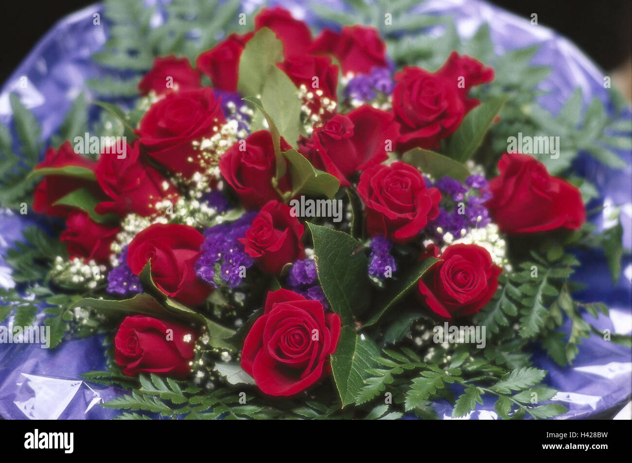 Rose bouquet, detail, Plants, flowers, flower bouquet, roses, blooms ...