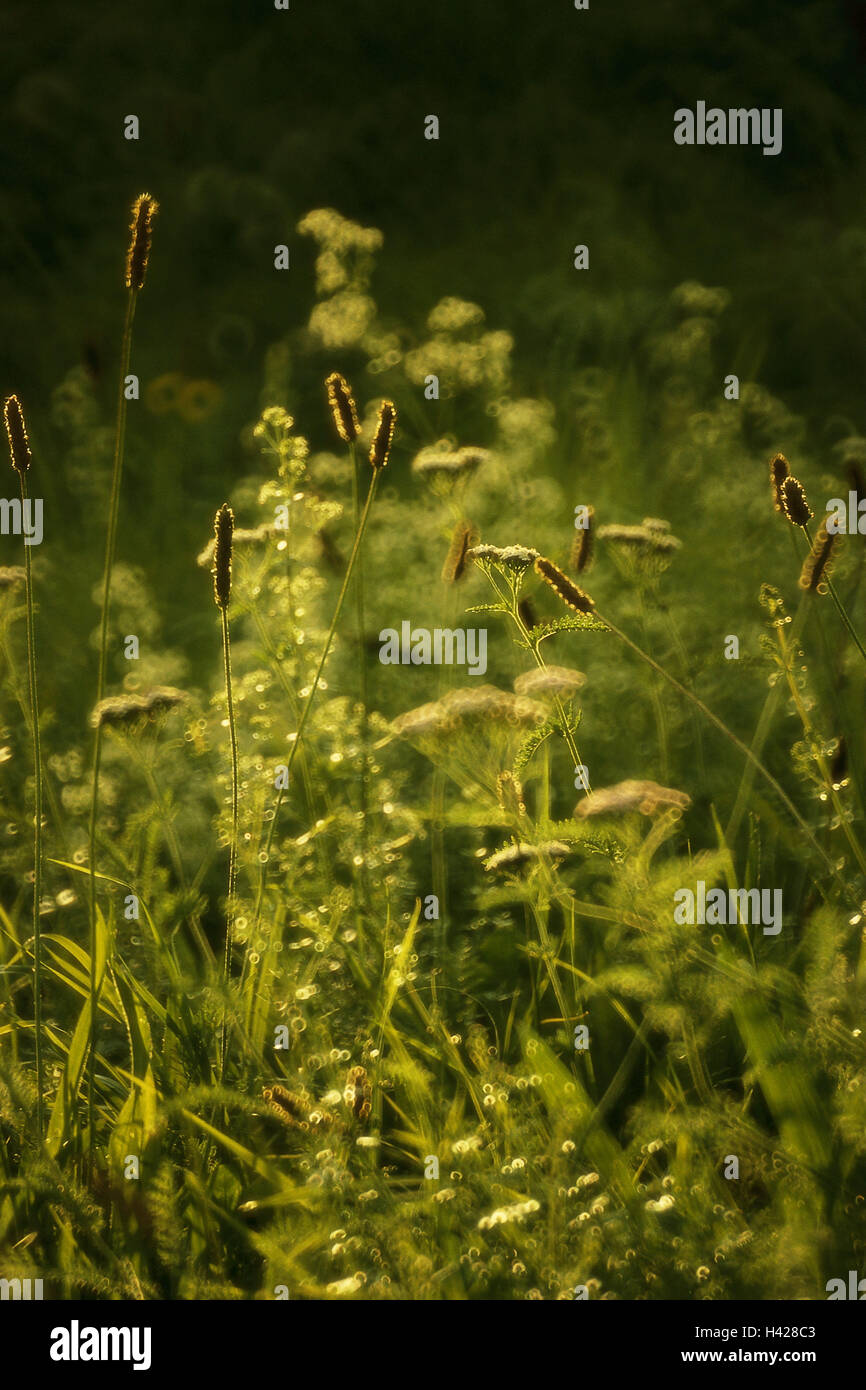 Untouched ness hi-res stock photography and images - Alamy