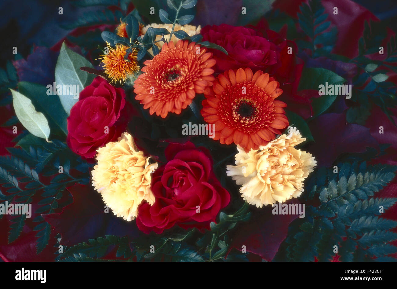 Flower bouquet, roses, carnations, gerbera, Detail, blooms, Plants ...
