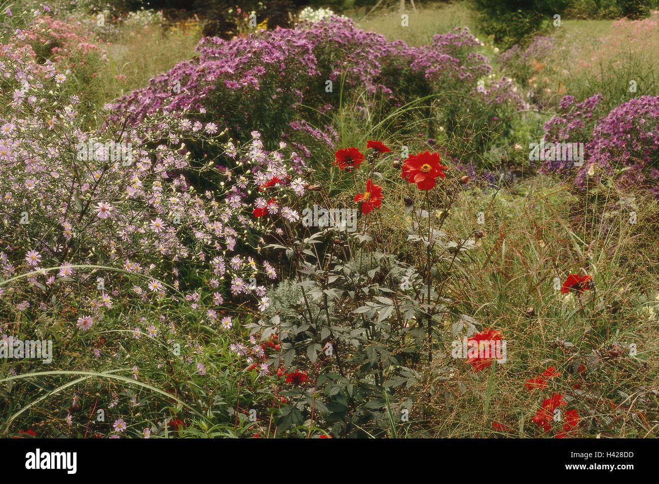 Increase neglected growth hi-res stock photography and images - Alamy