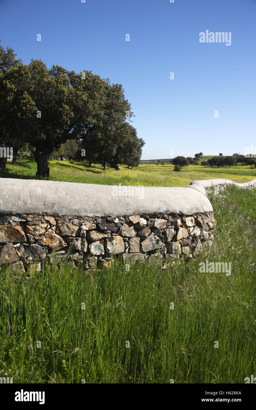 Spain, ex-diaeresis dura, hill scenery, stone defensive wall, meadows ...