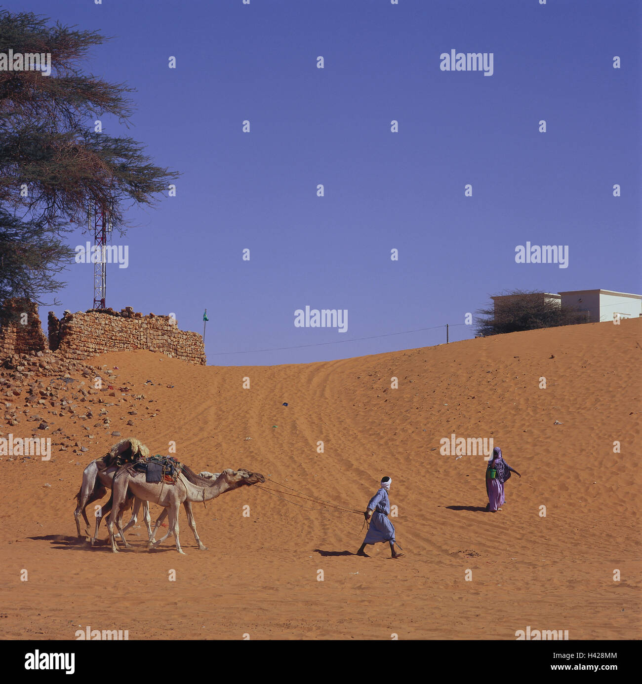 Mauritania, region Adrar, Chinguetti, Neustadt, outskirts, man ...