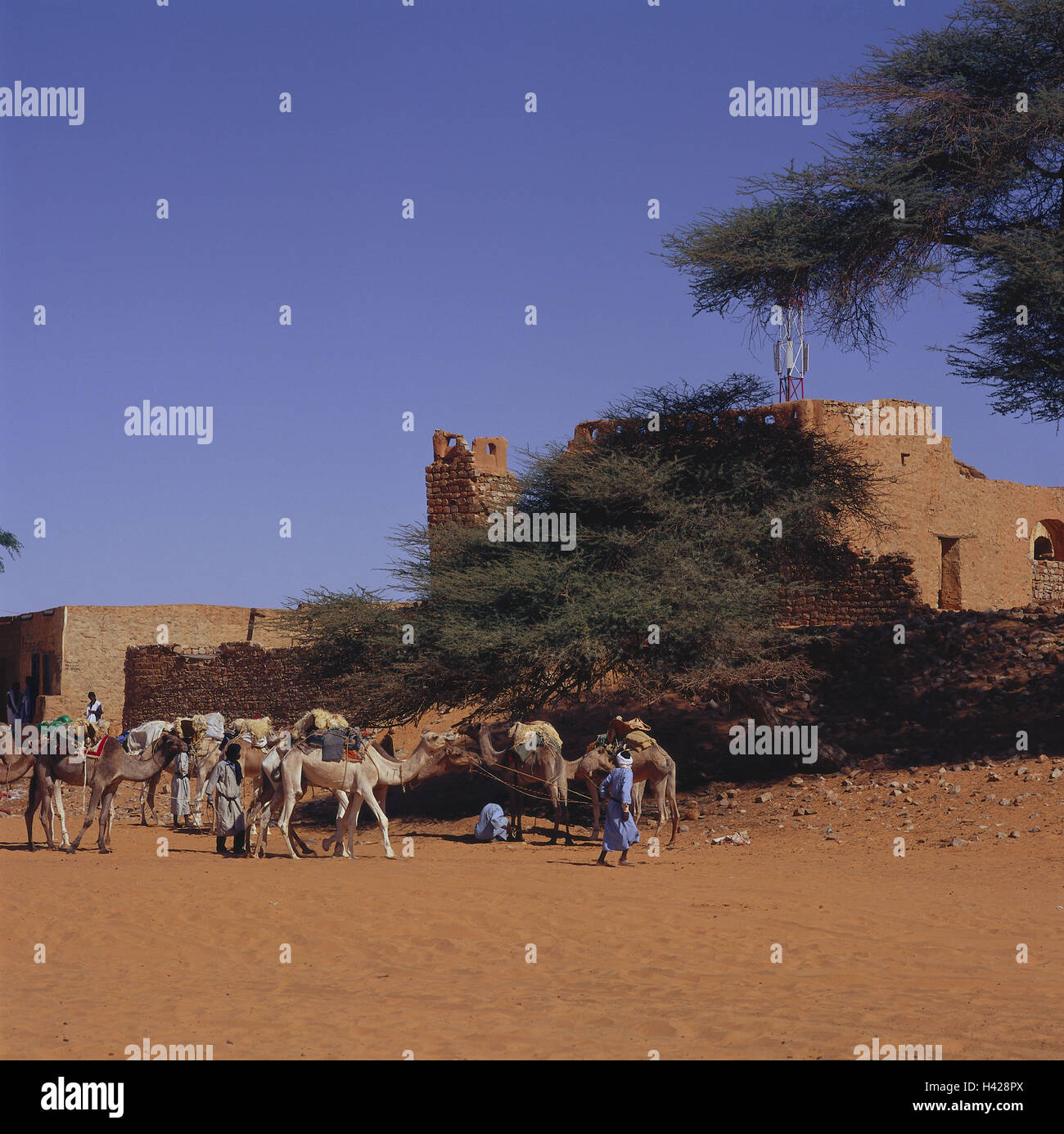 Mauritania, region Adrar, Chinguetti, Neustadt, outskirts, caravan ...