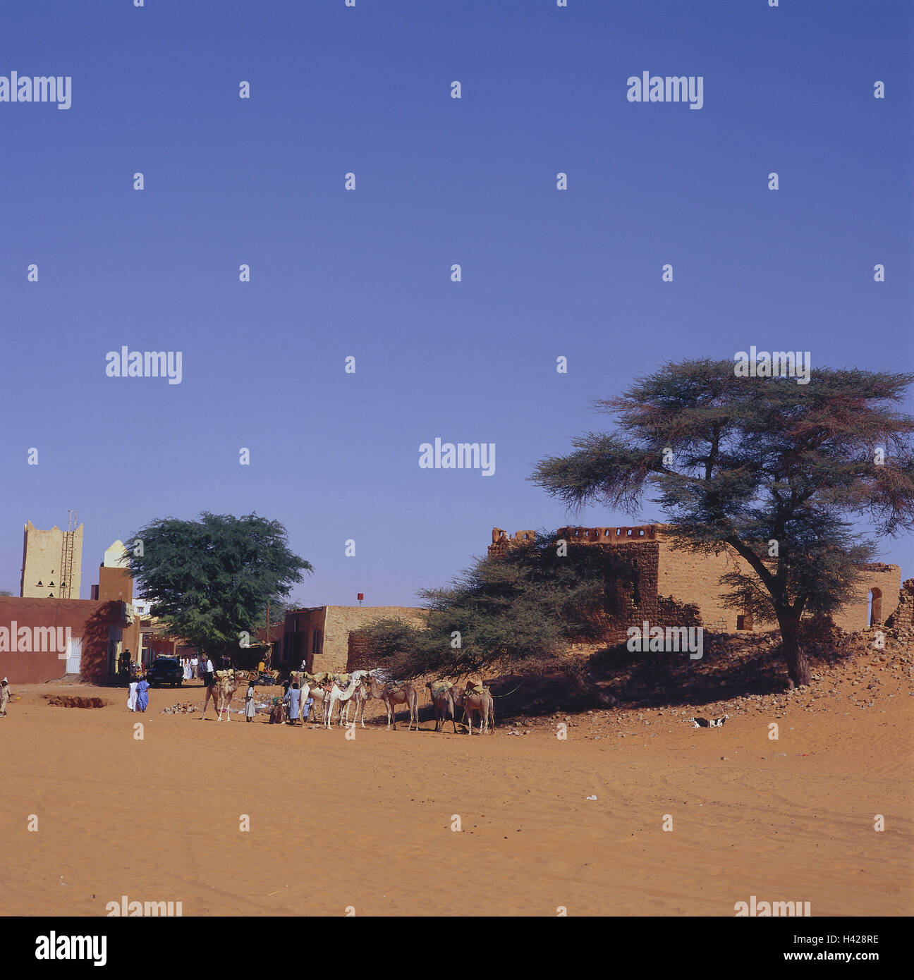 Camel mauritania africa hi-res stock photography and images - Alamy