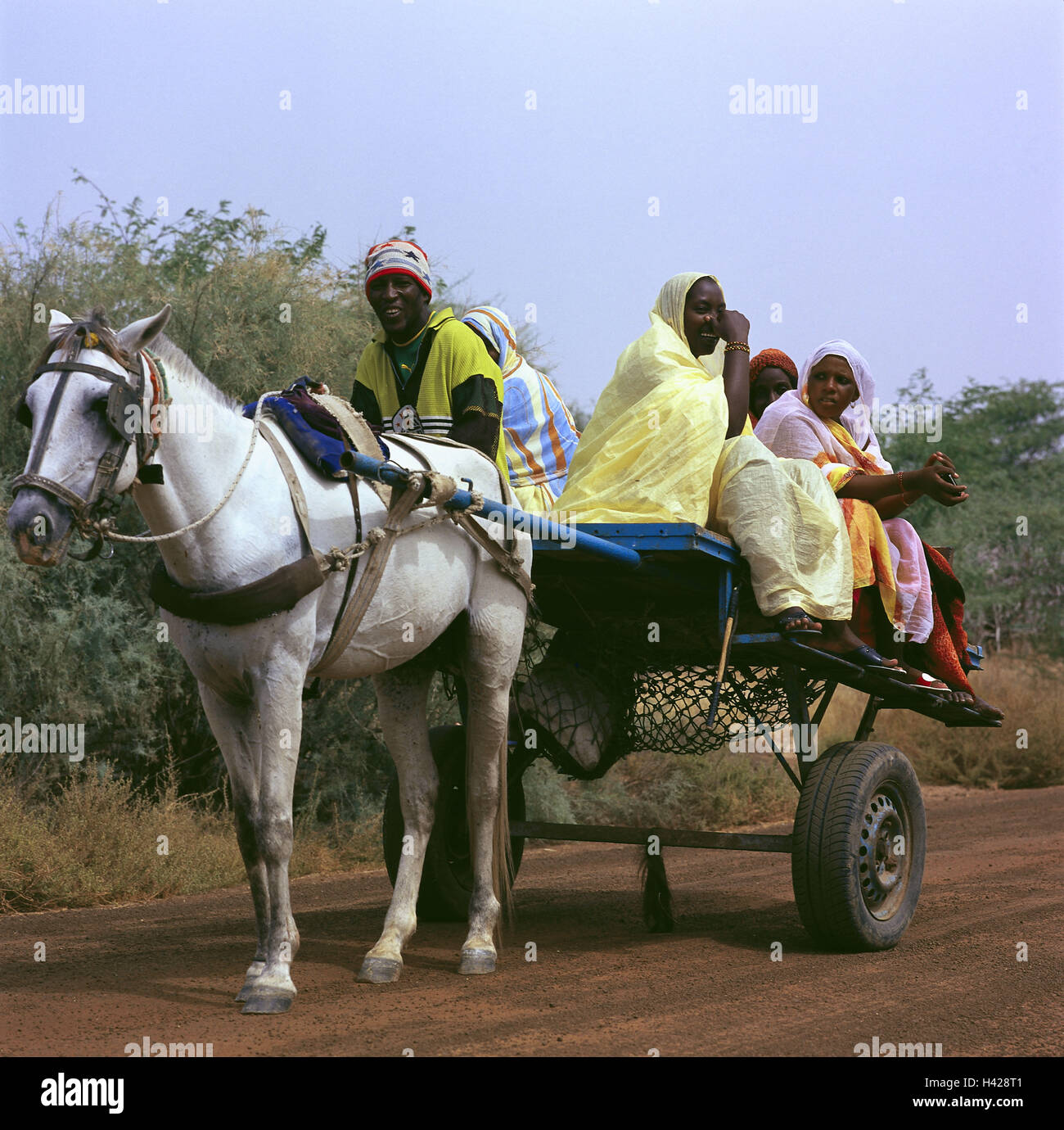 Senegal, Saint-Louis, country road, horse's carts, passengers, Africa ...