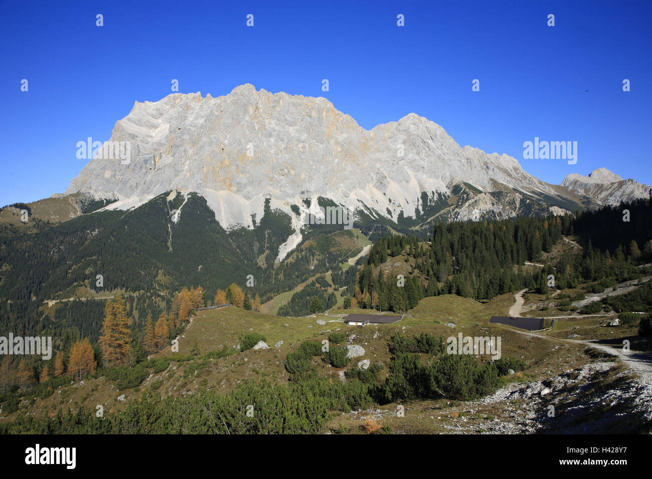 Seebenalm, Ehrwald, Tyrol, Austria Stock Photo - Alamy