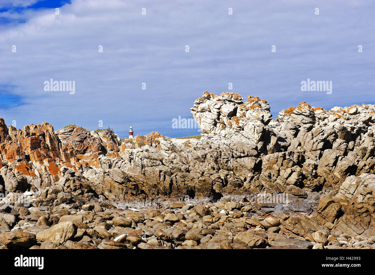 South, Africa, west cape, mountain Over, cape Agulhas, rock, background ...