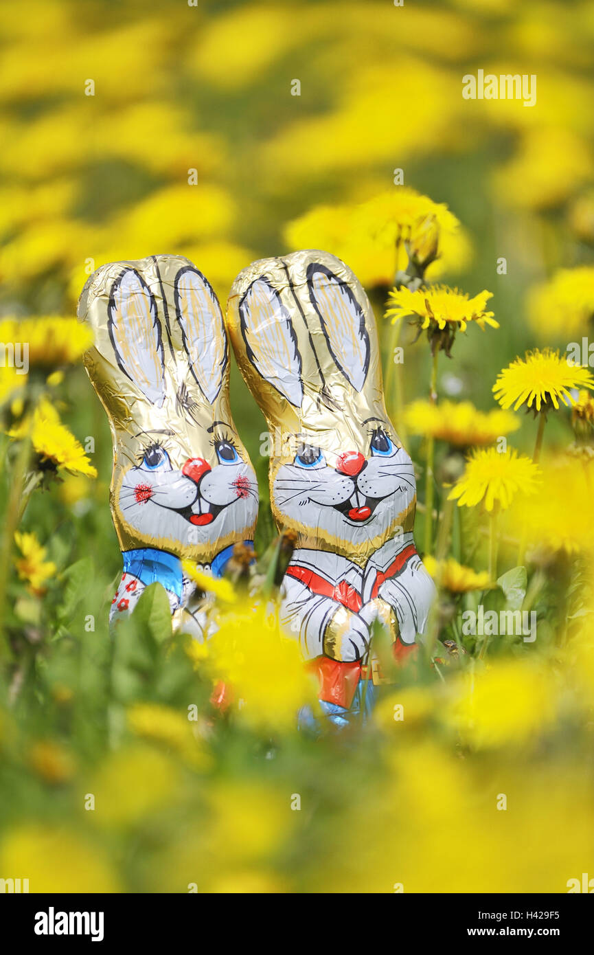 Chocolate hares, flower meadow Stock Photo - Alamy