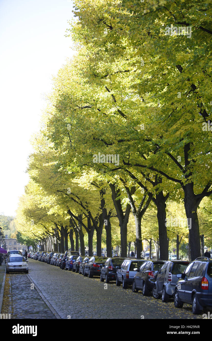 Germany, Brandenburg, Potsdam, street, avenue, cars, park, town, street ...