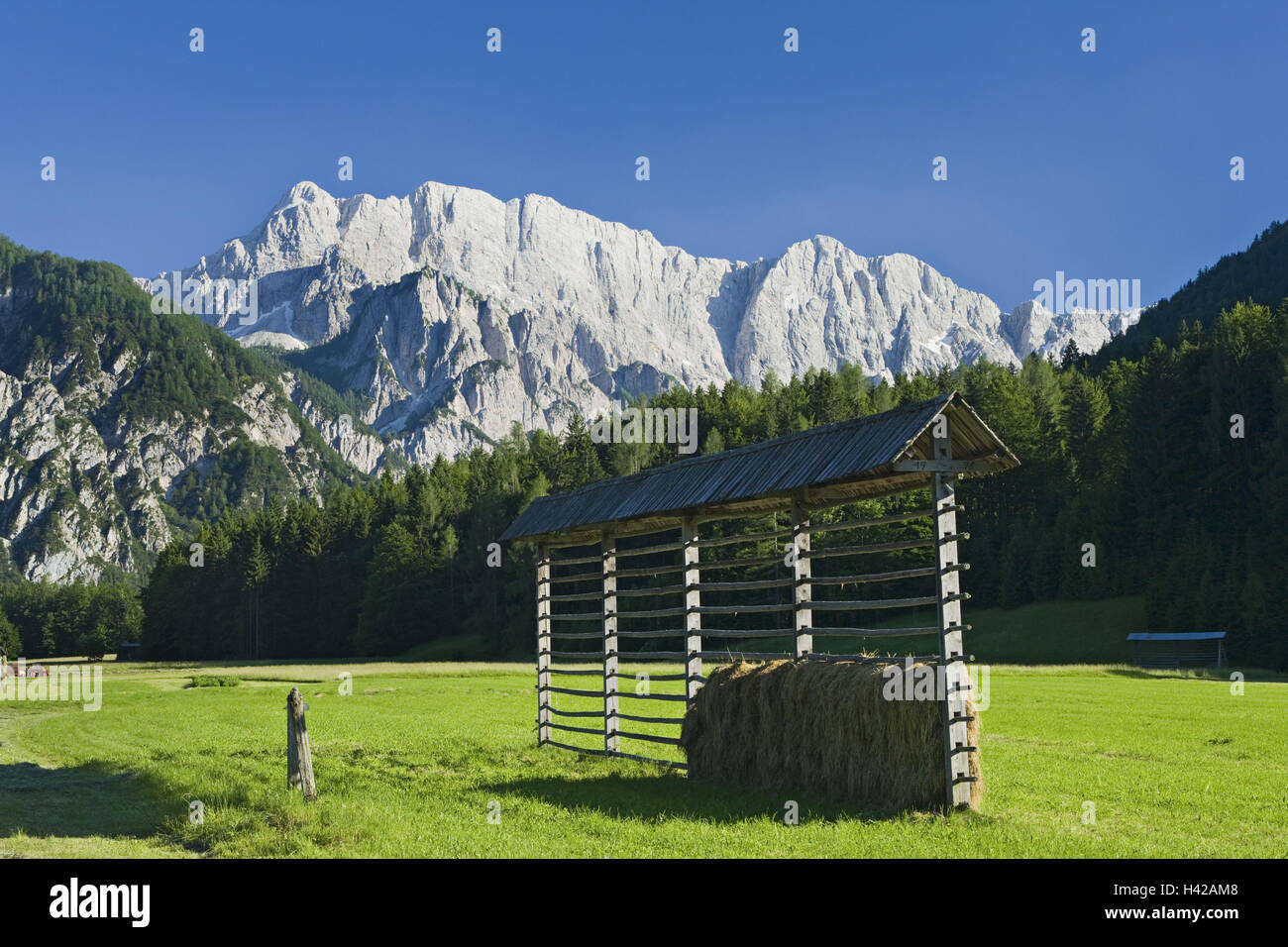 Slovenia, Mojstrana, field, wood, mountains, limestone, hay Stock Photo ...