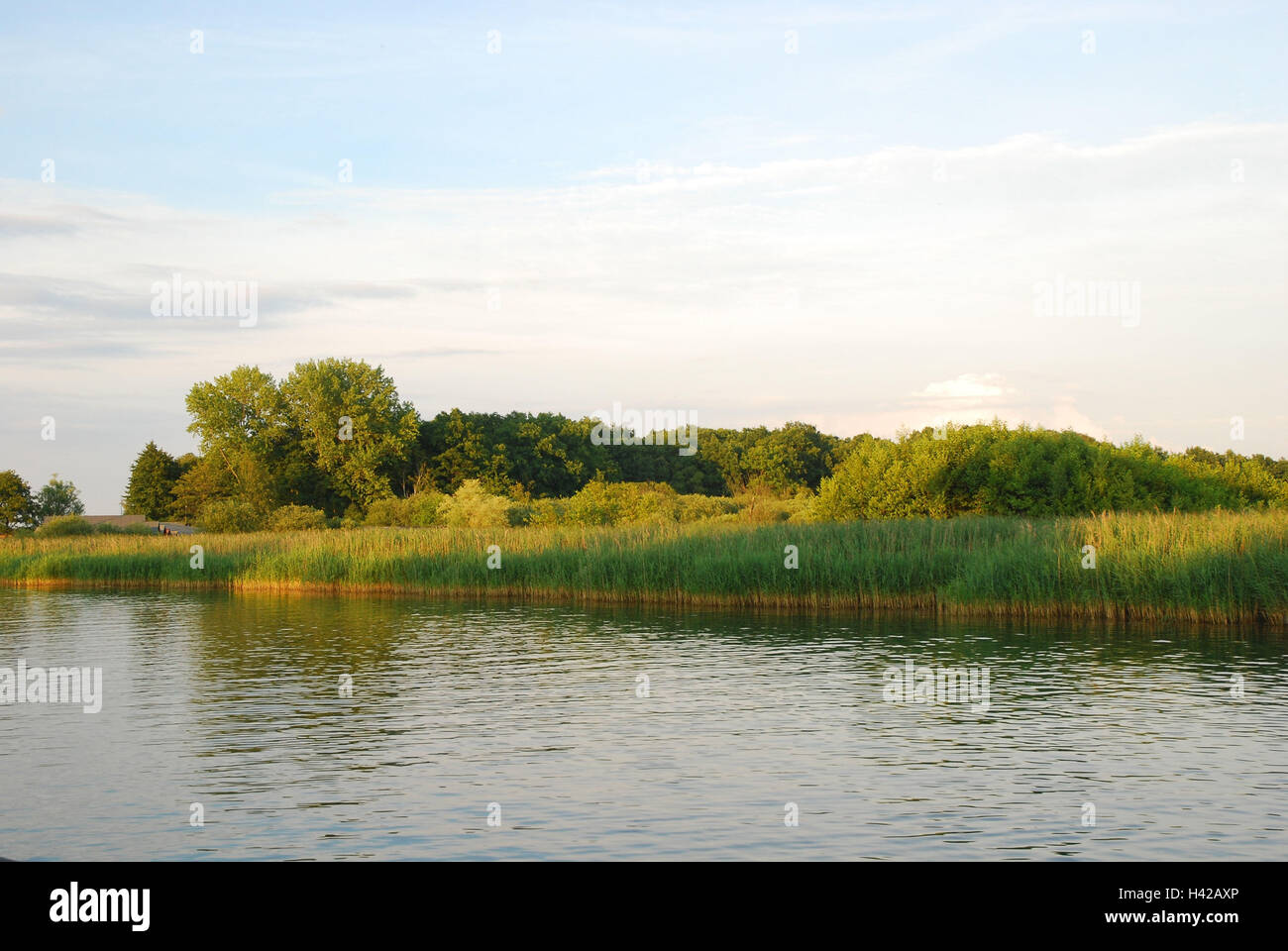 Germany, Mecklenburg-West Pomerania, Mecklenburg lowland plain full ...