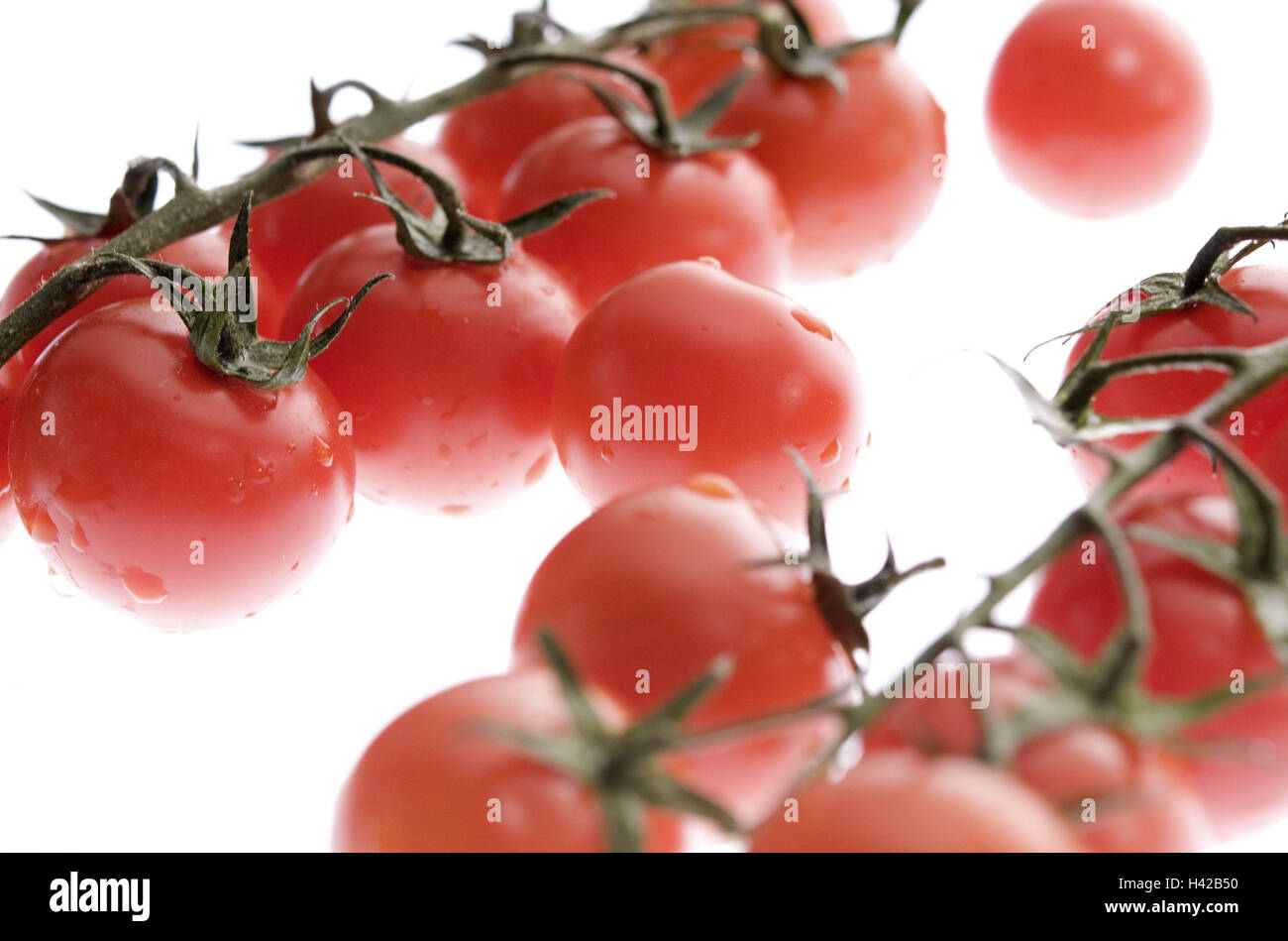 Rispentomaten hi-res stock photography and images - Alamy